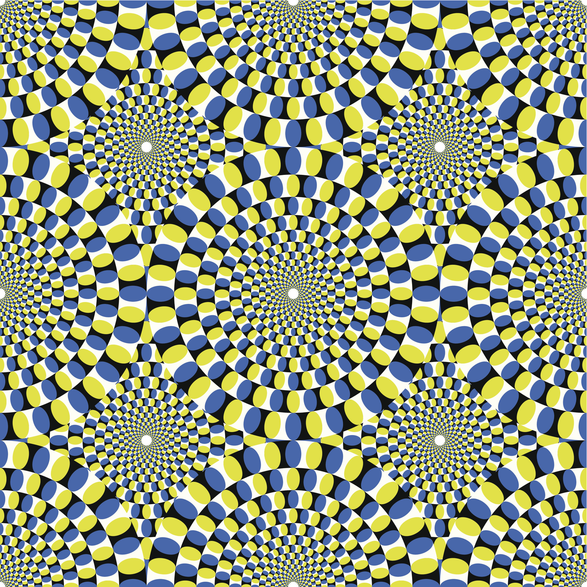 Can you trust your eyes? Explore mind-bending optical illusions