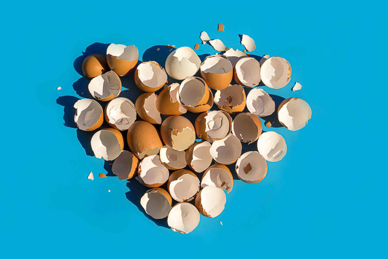 Is It Safe to Eat Eggshells? The Answer Might Surprise You