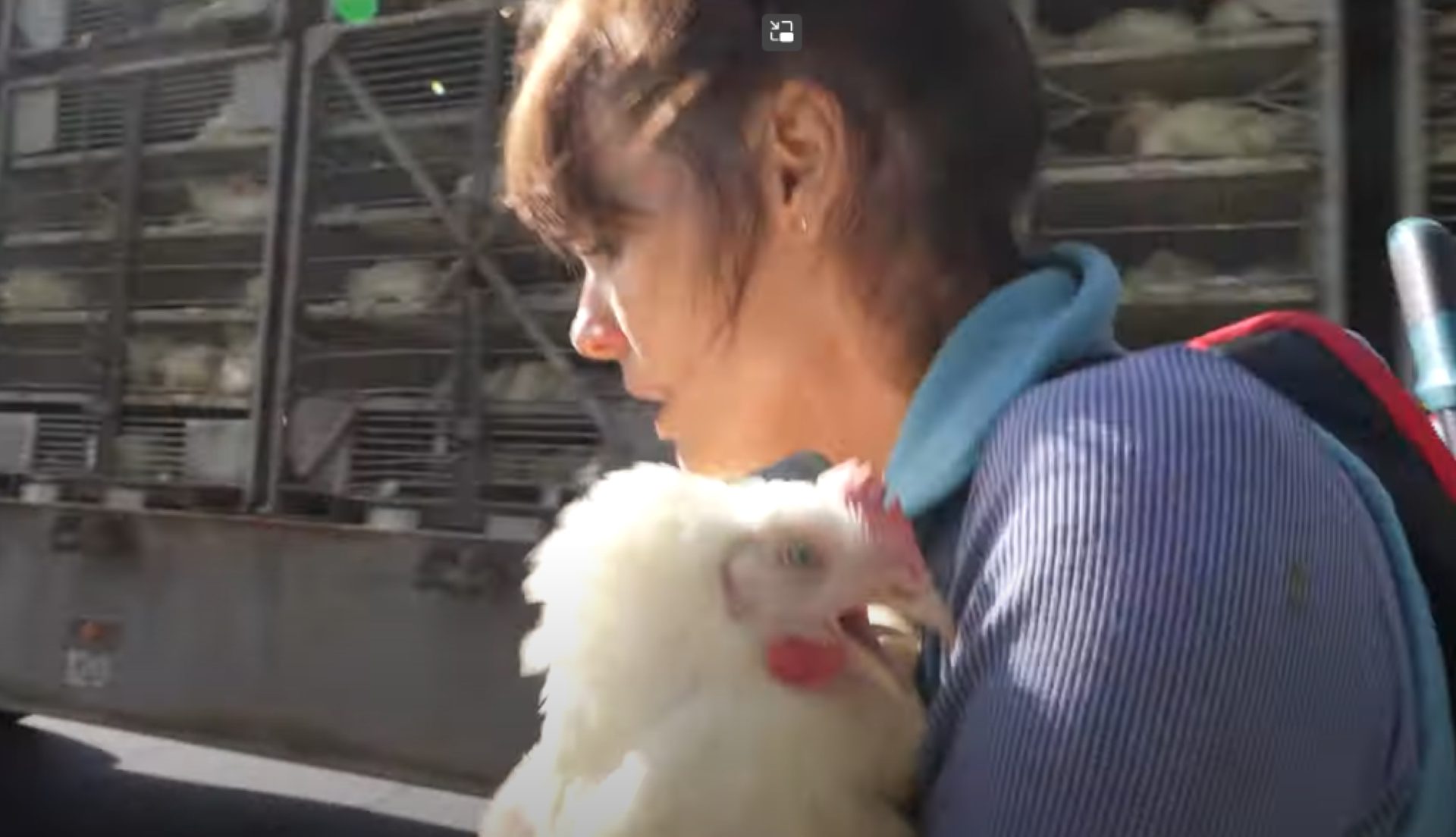 Alexandra Paul: from Baywatch to stealing chicken