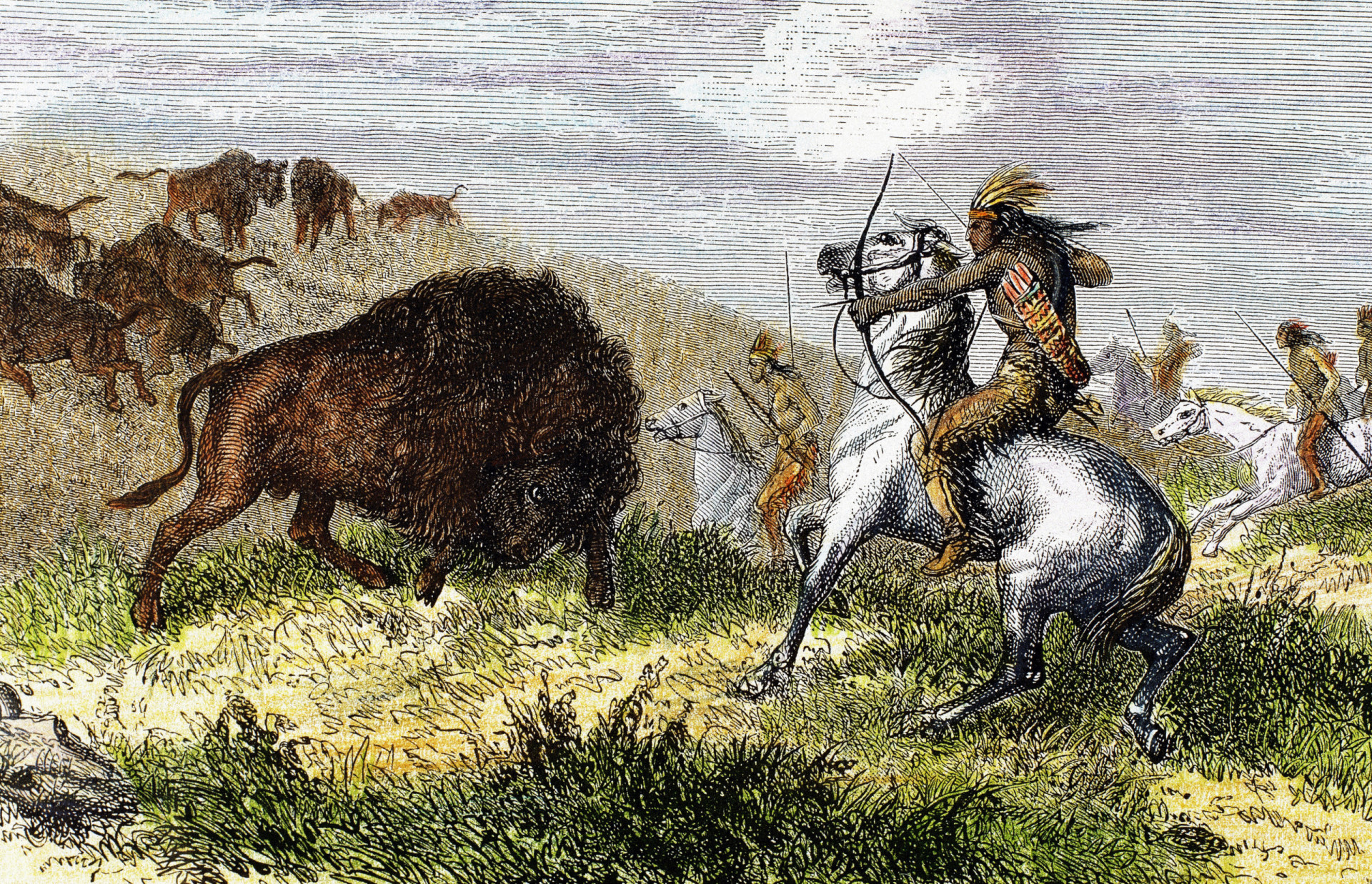 Brilliant facts about the American bison