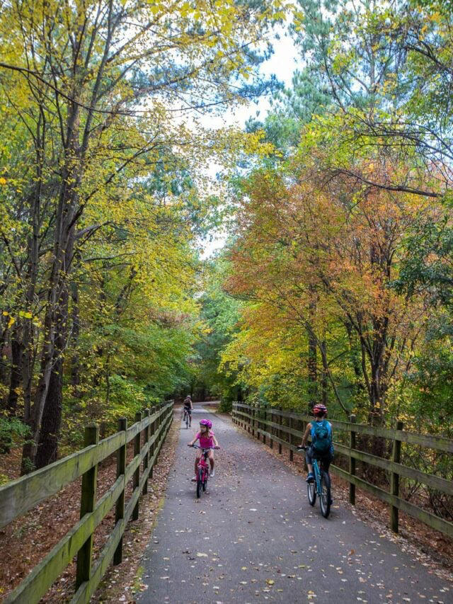 20 + Things to Do in Raleigh in the Fall (See, Eat, Explore, Play)