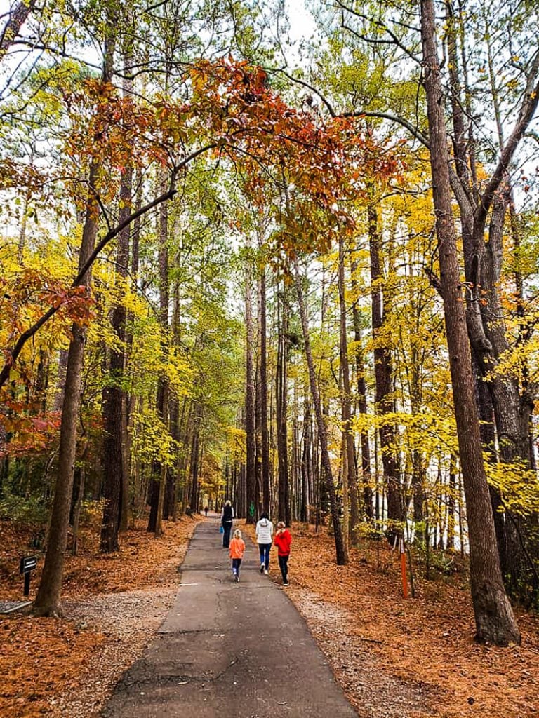 20 + Things to Do in Raleigh in the Fall (See, Eat, Explore, Play)