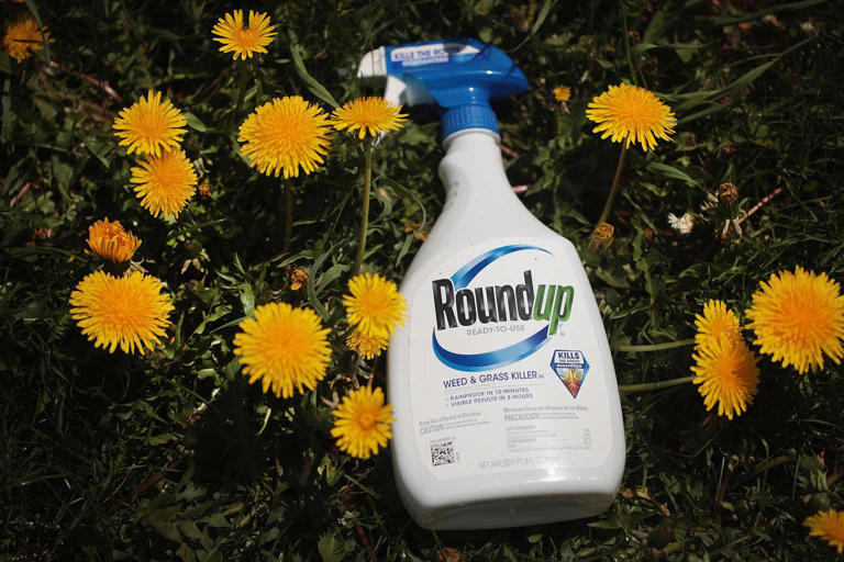Bayer plunges as Roundup ingredient glyphosate reportedly singled out ...