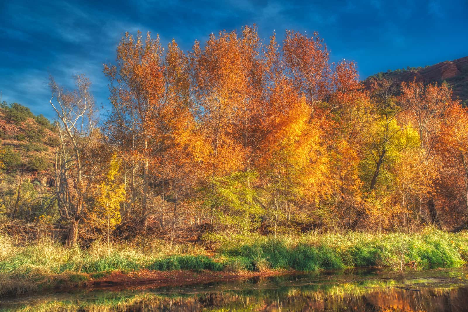 Fall in Arizona- 14 Best Places to See Fall Colors in Arizona