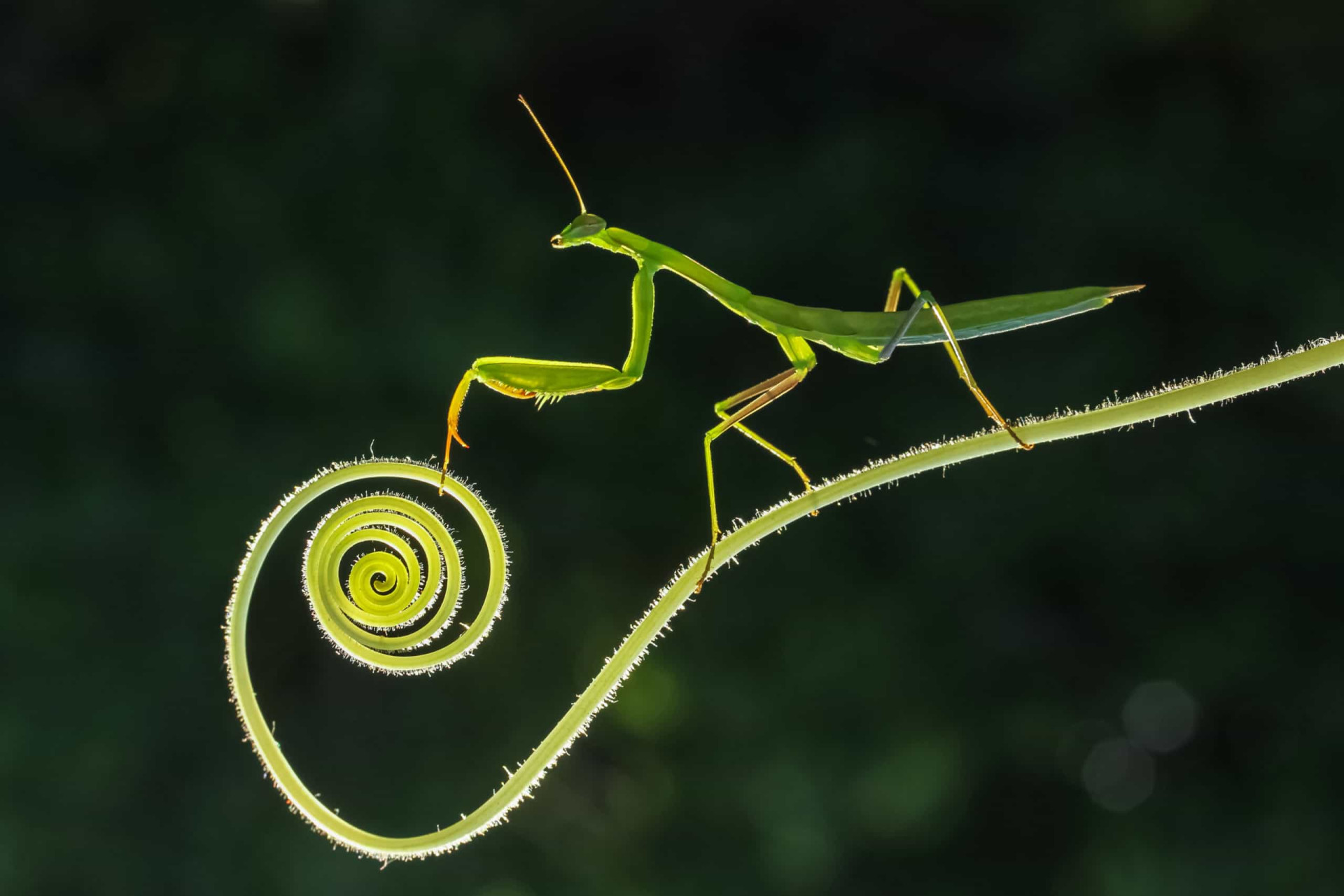 The 30 best action movies of all time