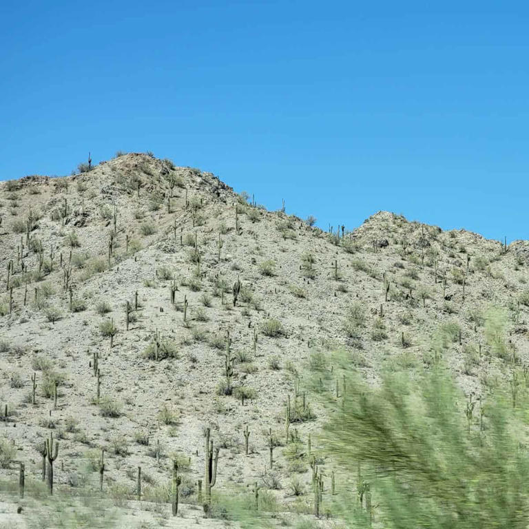 22 Epic Arizona National Parks