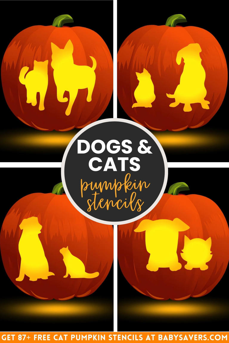 Cat Pumpkin Carving Stencils: 87 Free Printables!