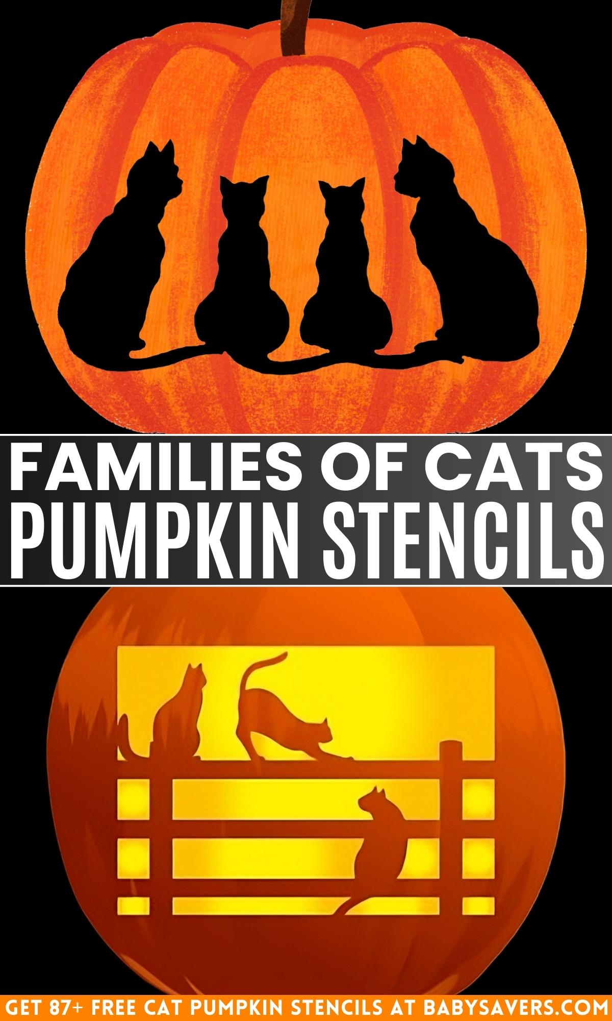 87 Cat Pumpkin Carving Stencils: Free Printables for Halloween!
