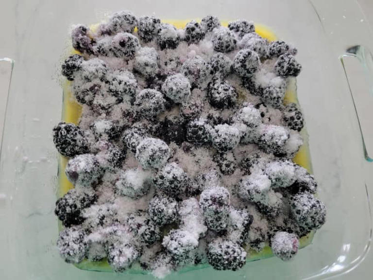 Easy Bisquick blackberry cobbler recipe