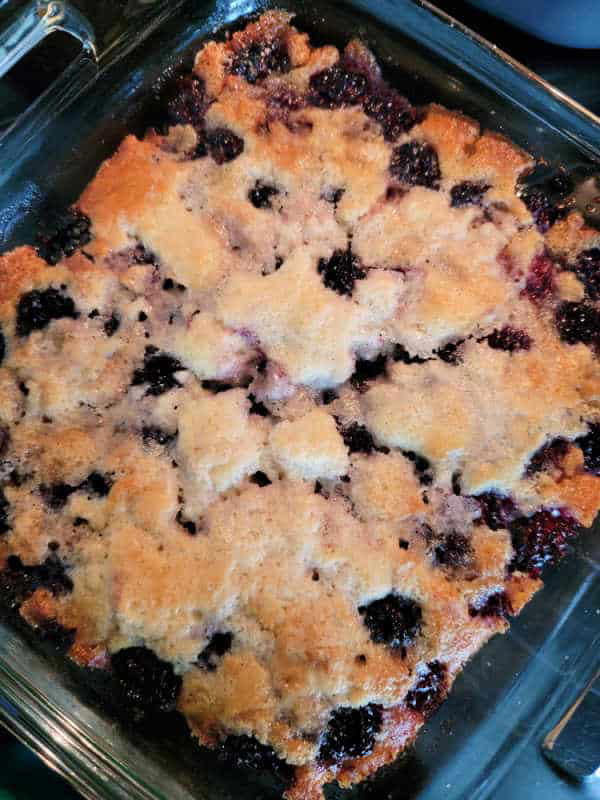 Easy Bisquick Blackberry Cobbler Recipe