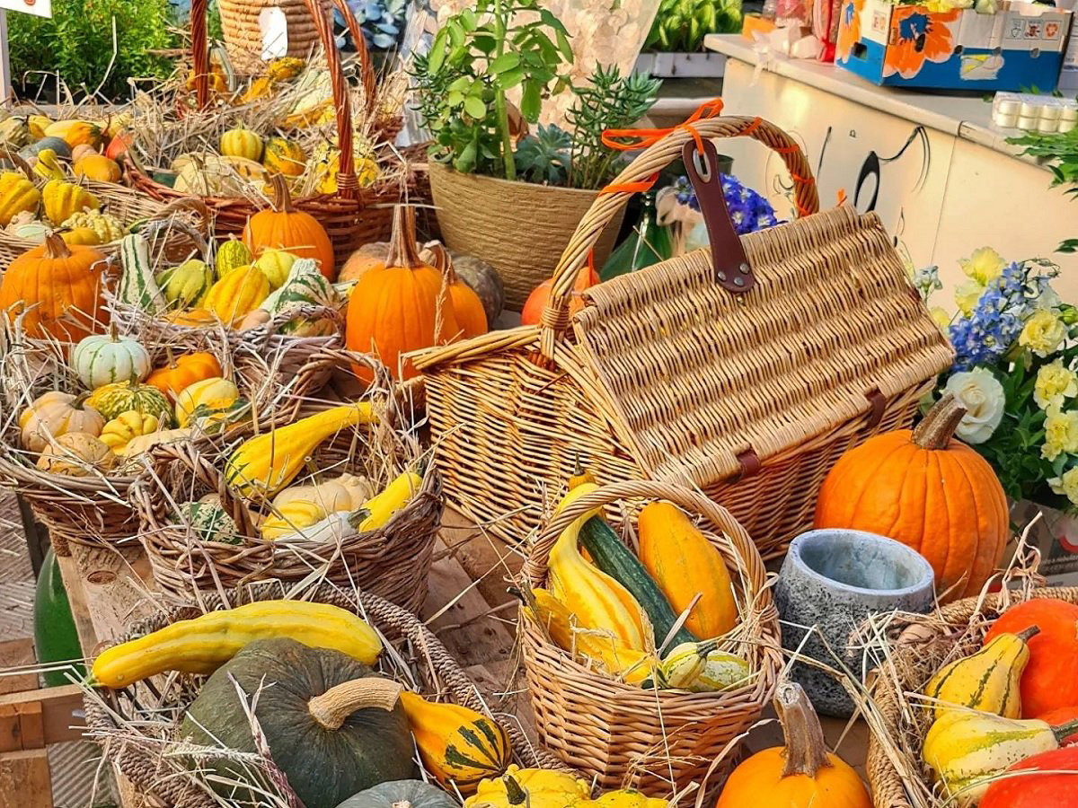 Esplora l’Orto delle Zucche a Matassino: una festa autunnale nel cuore ... Esplora l’Orto delle Zucche a Matassino: una festa autunnale nel cuore ...