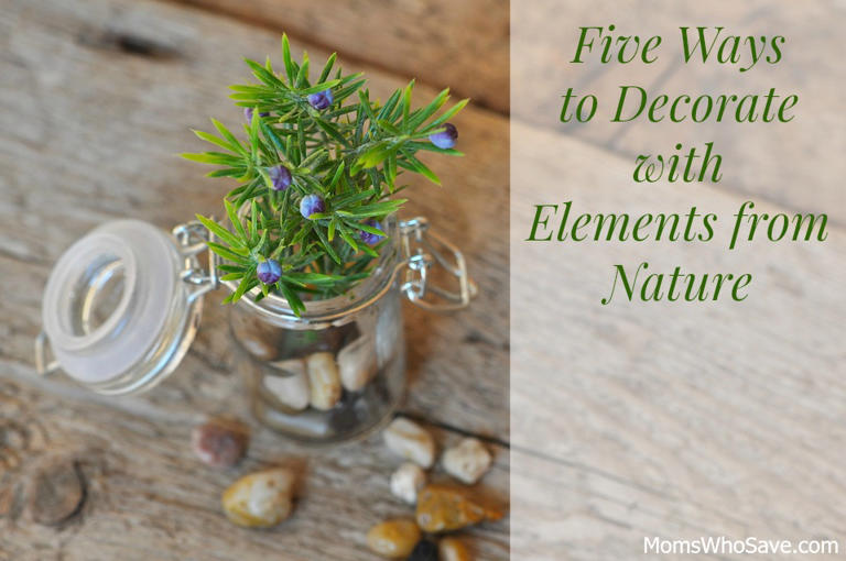 5 Simple Ways to Decorate with Elements from Nature