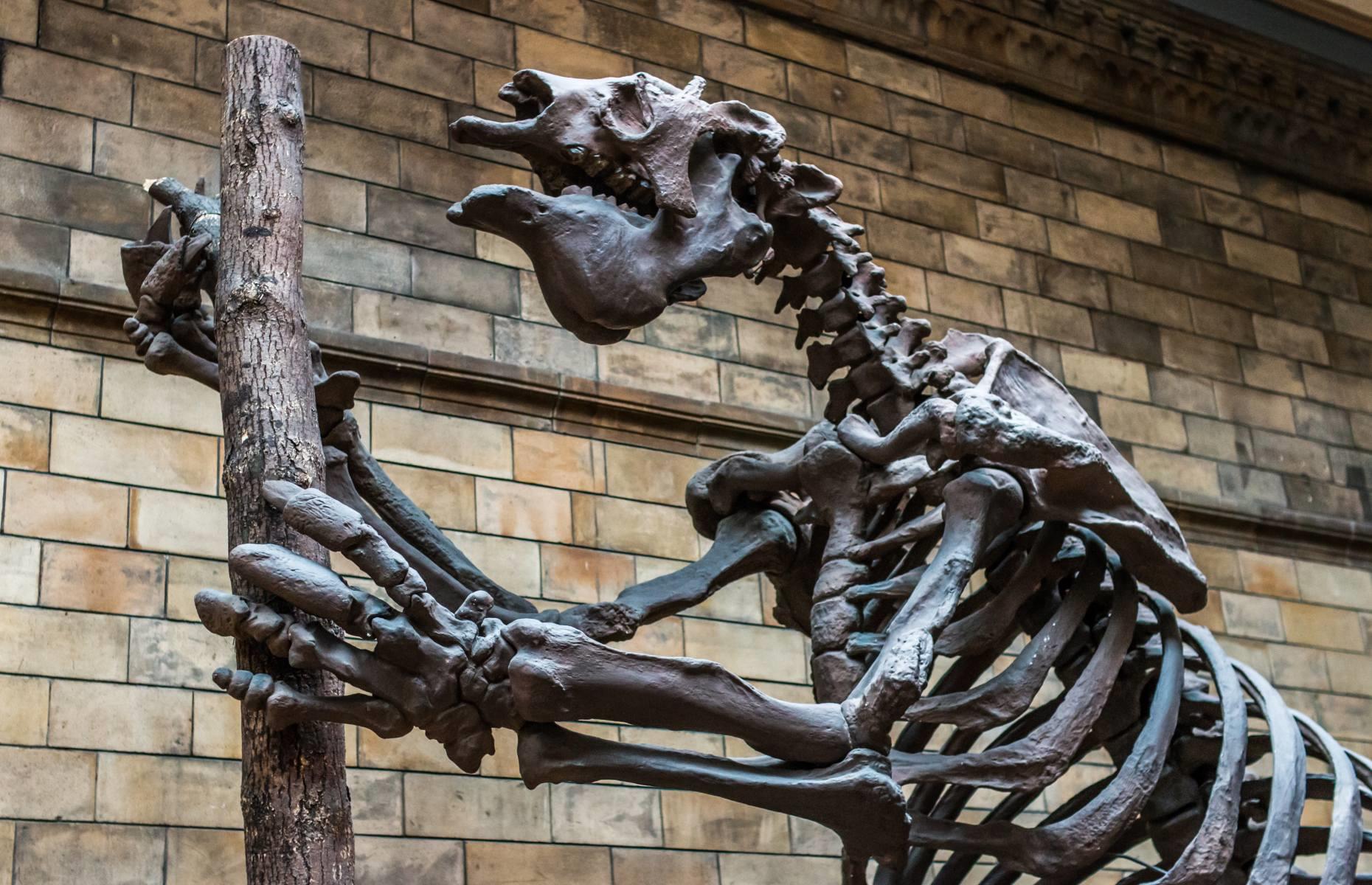 Fascinating prehistoric discoveries that have stunned experts