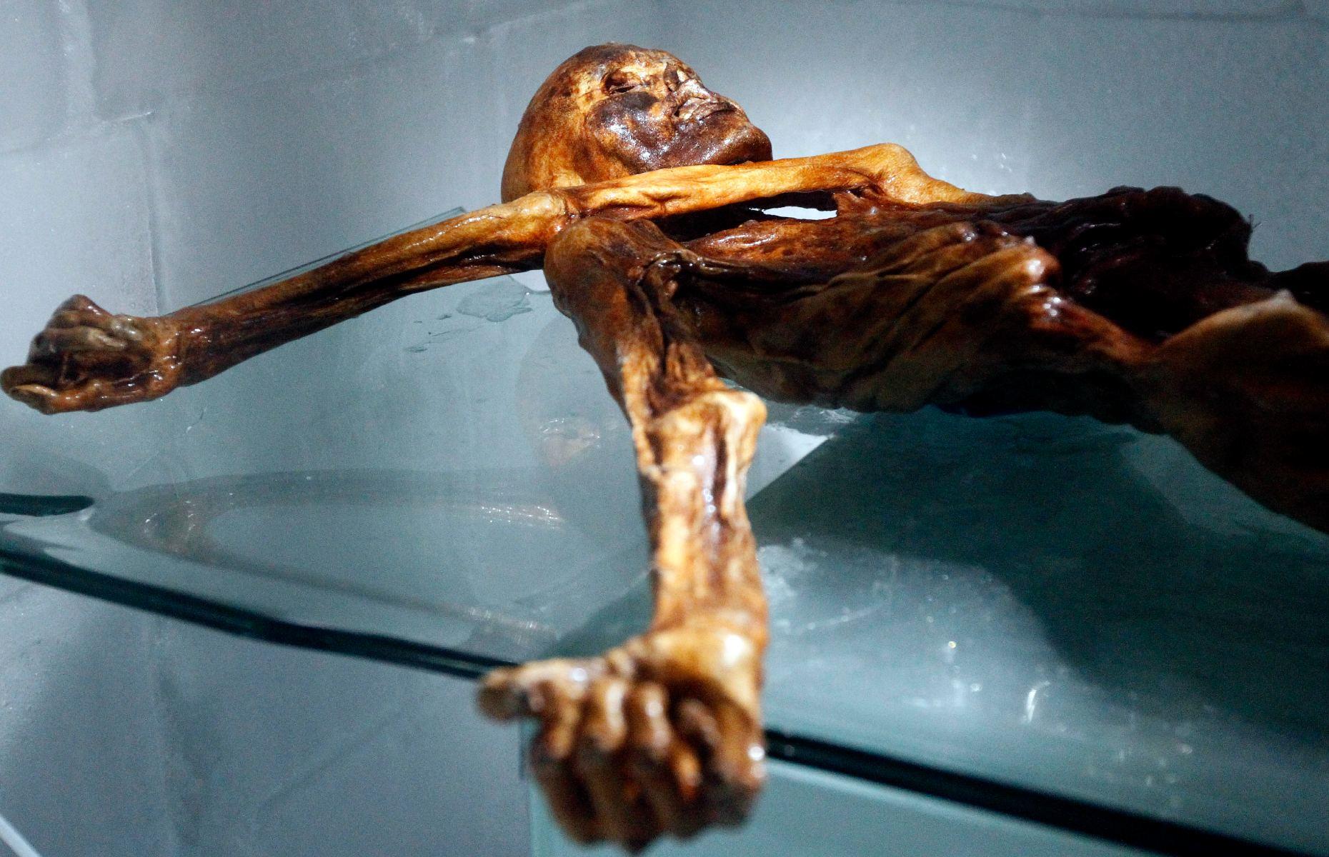 Amazing prehistoric discoveries that have stunned archaeologists