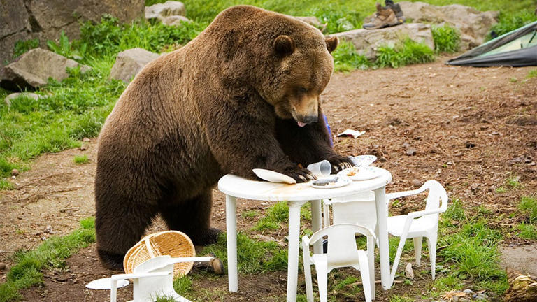 Stock Market Today: Nasdaq Plunges 2.8%, To Lowest Level In Nearly 4 ...