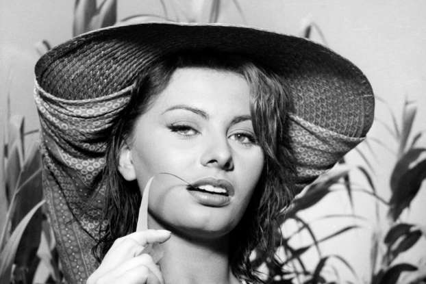Sophia Loren in her most beautiful photos Sophia Loren in her most beautiful photos