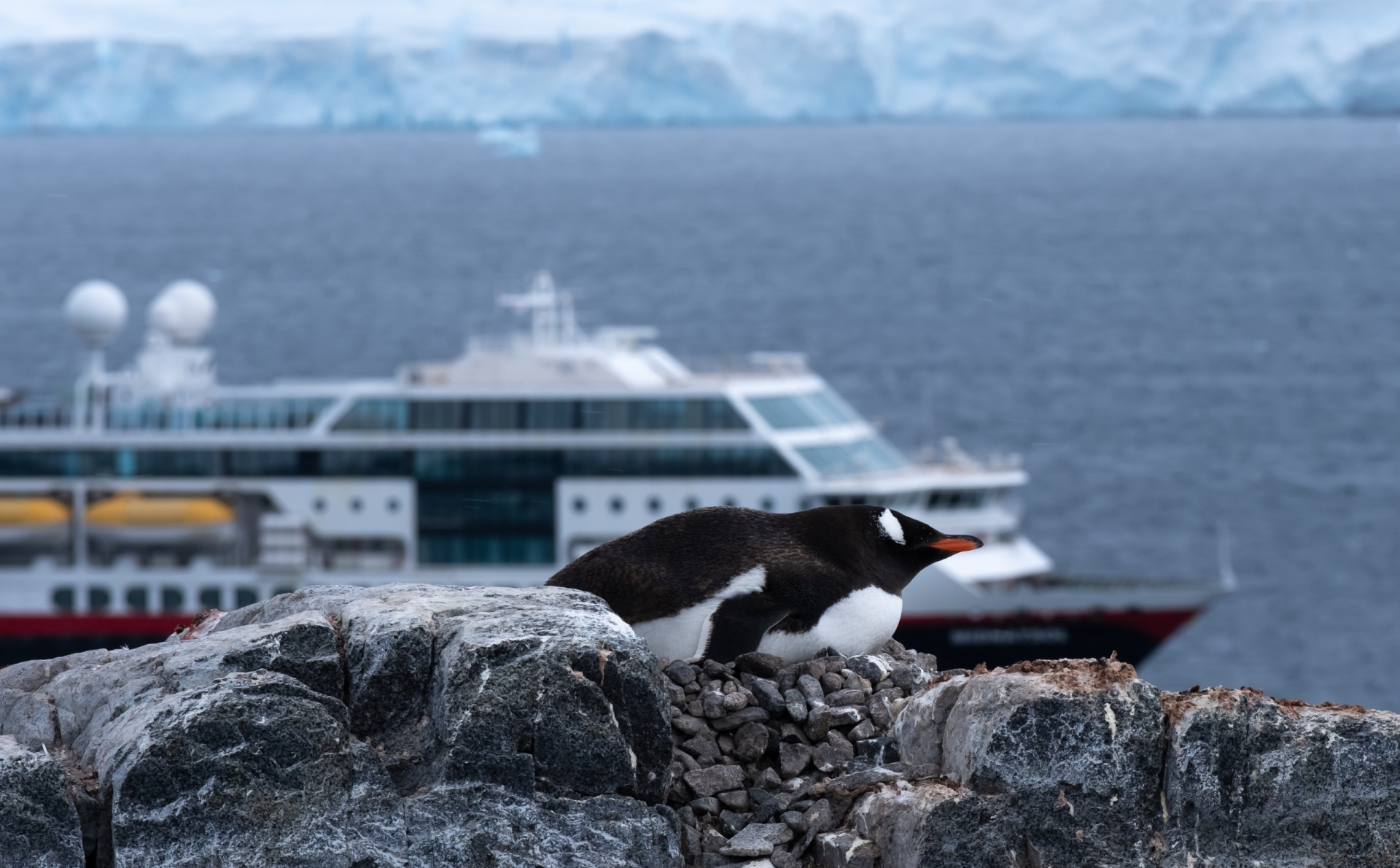 Get to know the Penguin Post Office