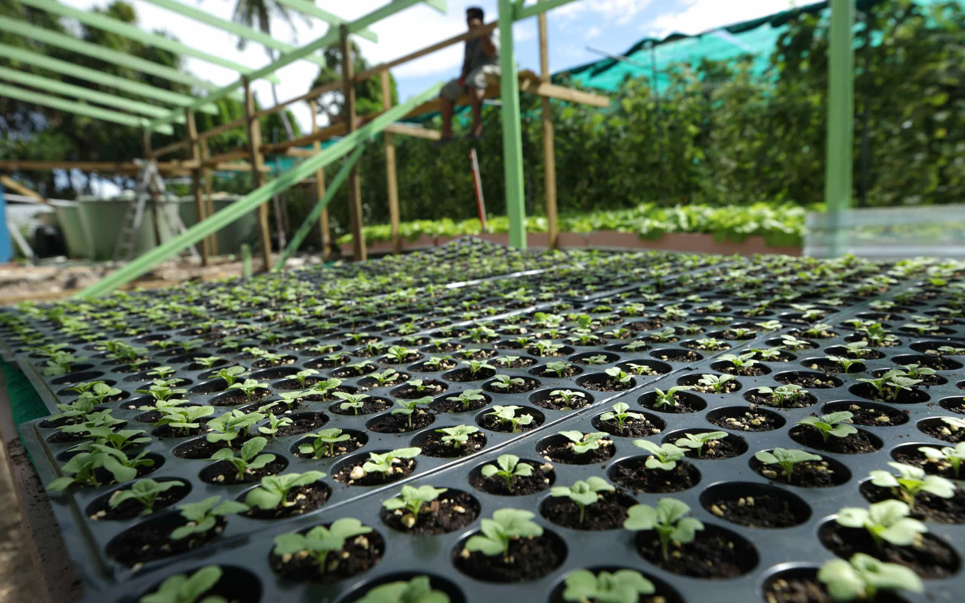 The first country impacted by climate change