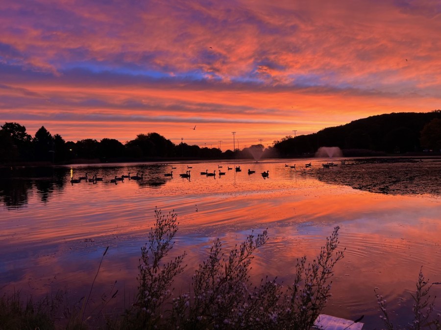 Sunrise Smart Start: Prop Me Up, Rochester Monopoly game