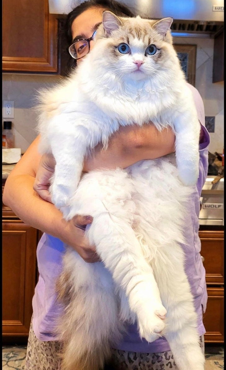 The little boy from 'Life is Beautiful': See how Giorgio Cantarini is now!