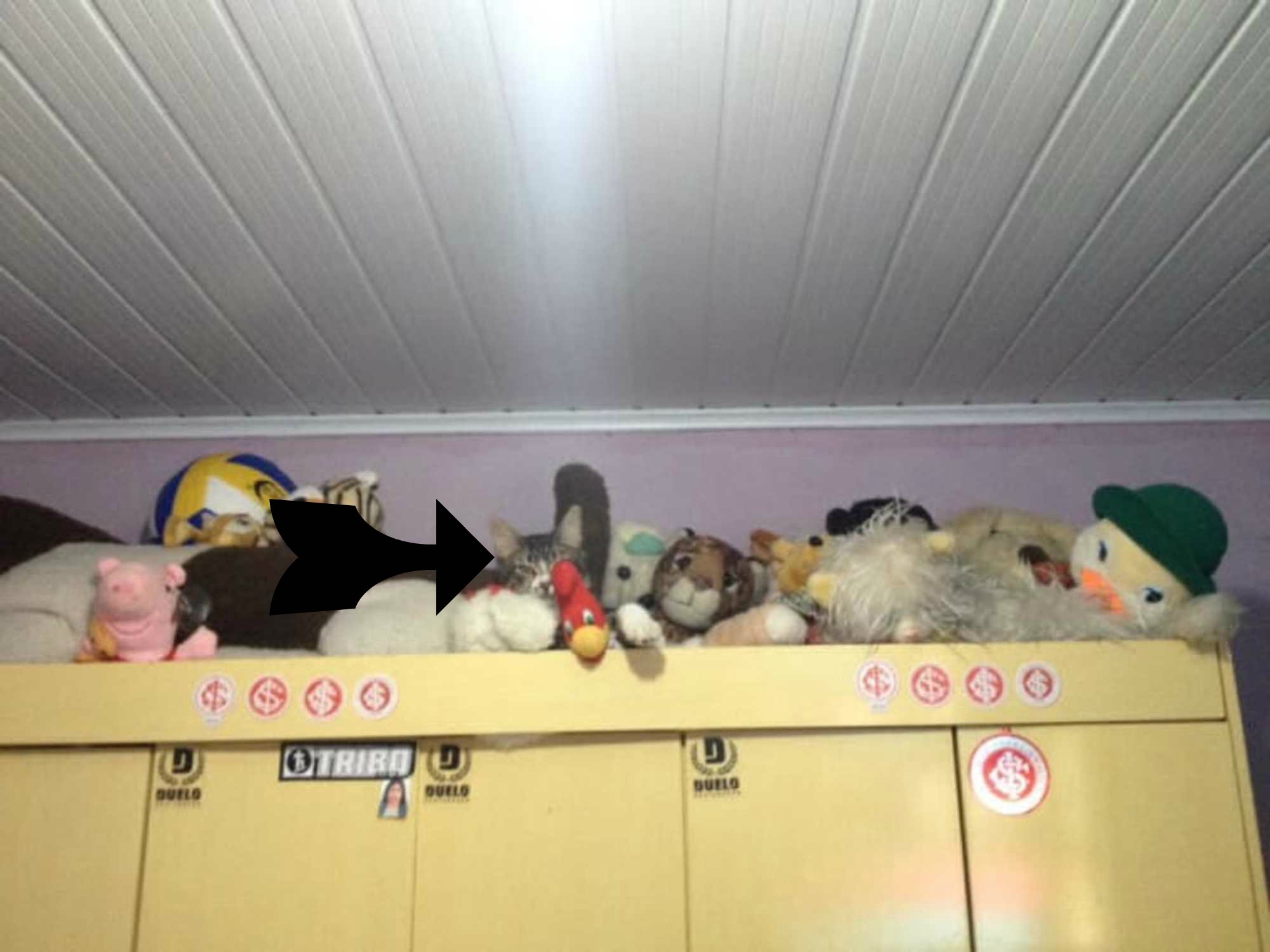 5 Things Deeply Perceptive People Do On A Regular Basis