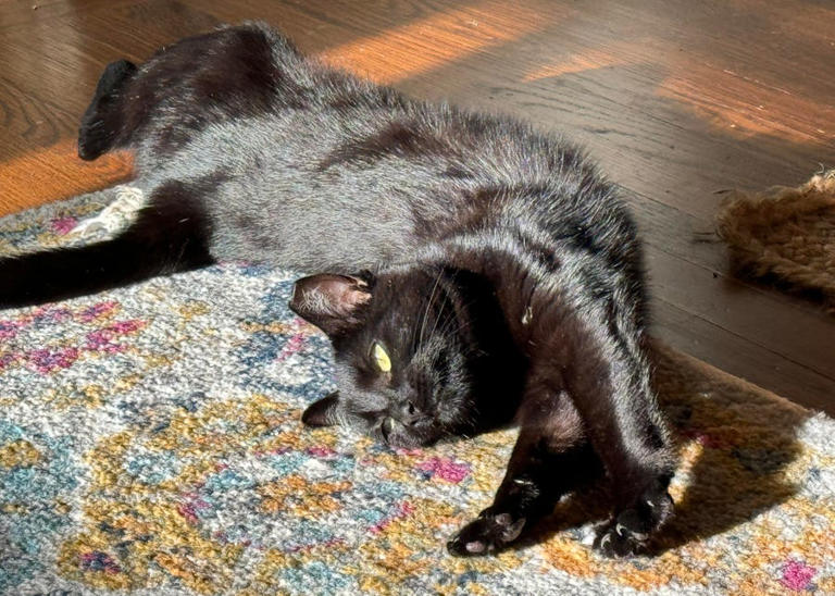 I Love This Hidden iPhone Camera Trick for Stunning Long-Exposure Photos