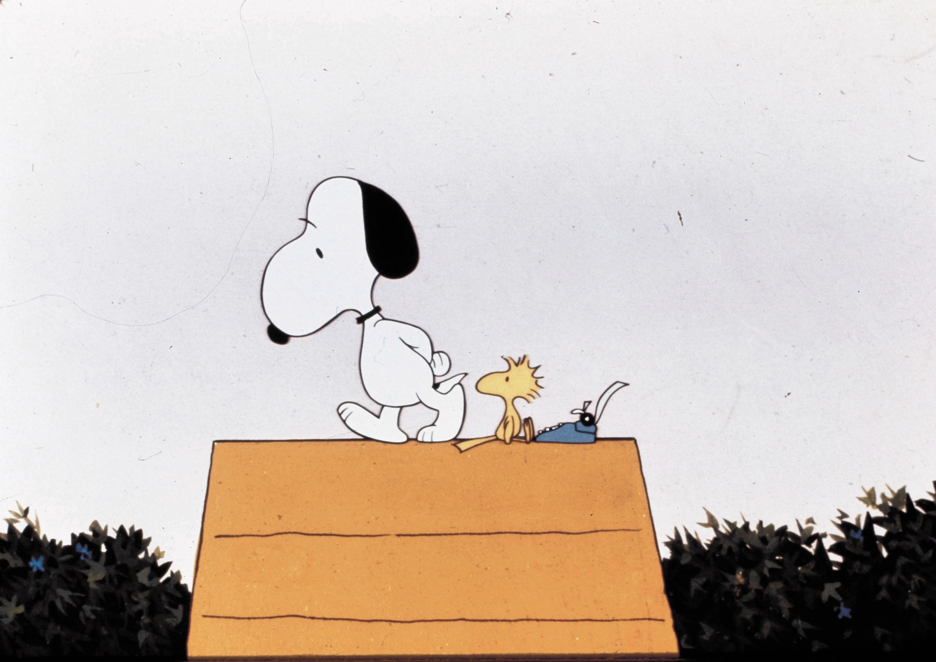 From dogs to dragons: the best pets in pop culture