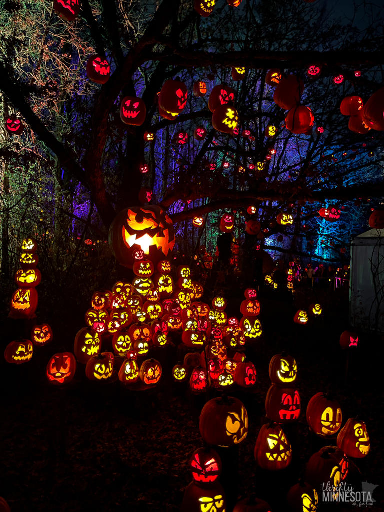 Minnesota Zoo Jack-O-Lantern Spectacular