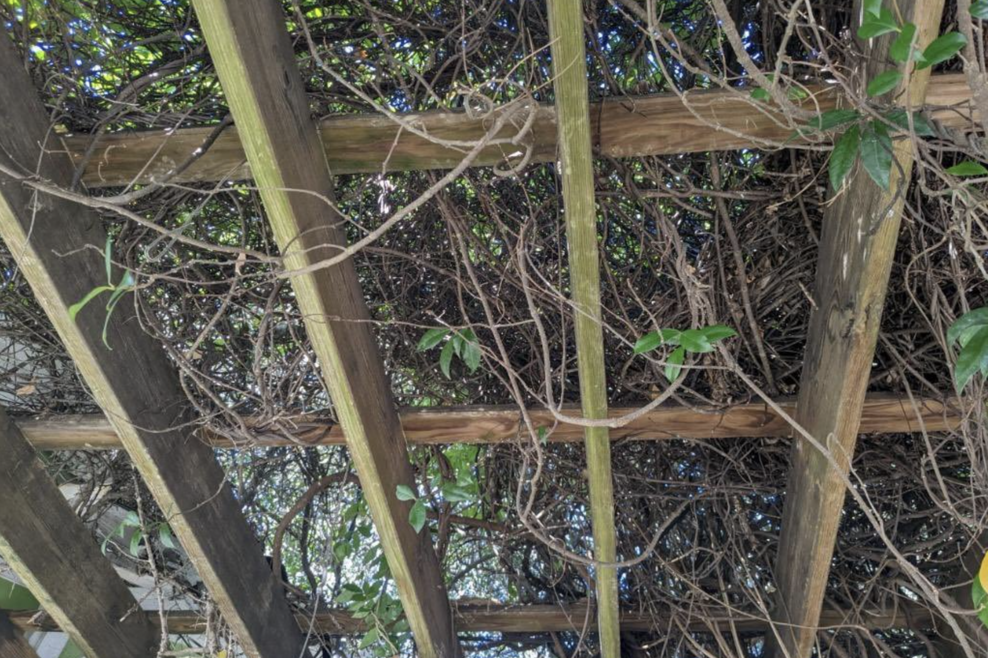 Zits by Jerry Scott and Jim Borgman