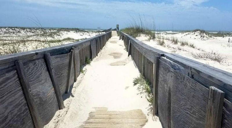 Top Things to do in Orange Beach & Gulf Shores Alabama