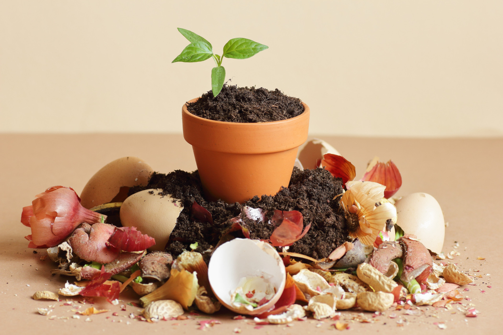 Top tips for home composting
