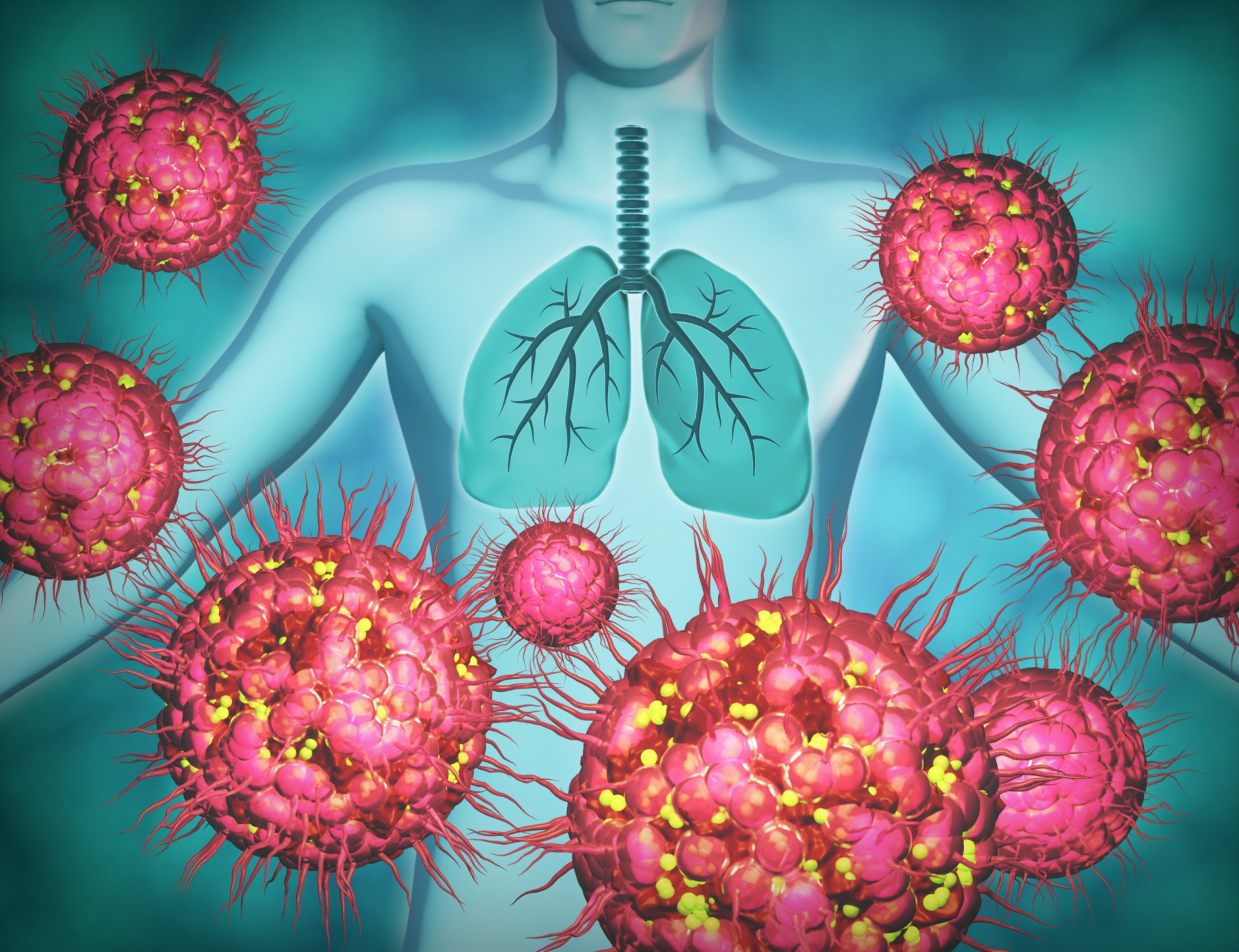 What is the deadly human metapneumovirus?