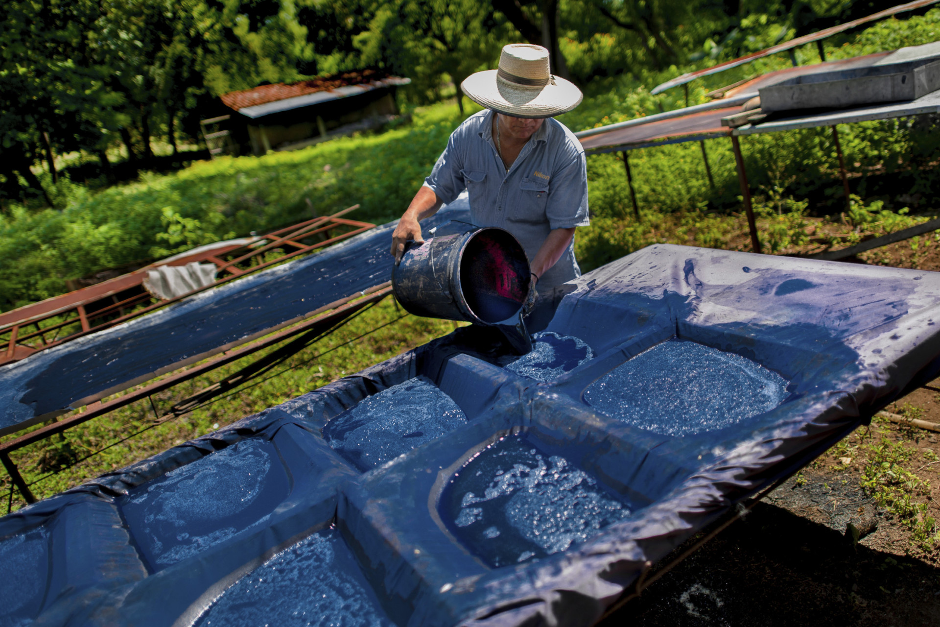 The most dazzling natural dyes of the ancient world