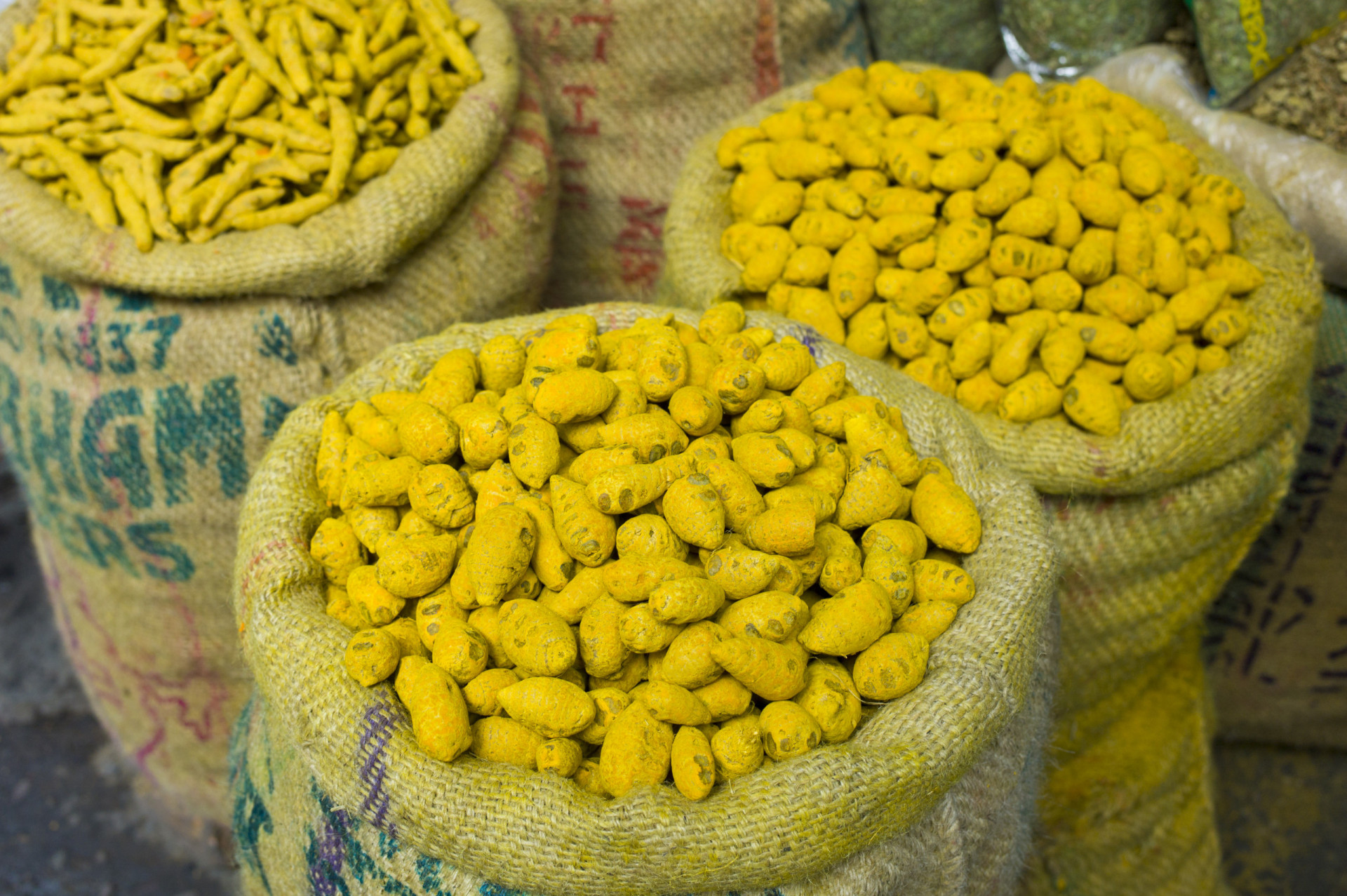 The most dazzling natural dyes of the ancient world