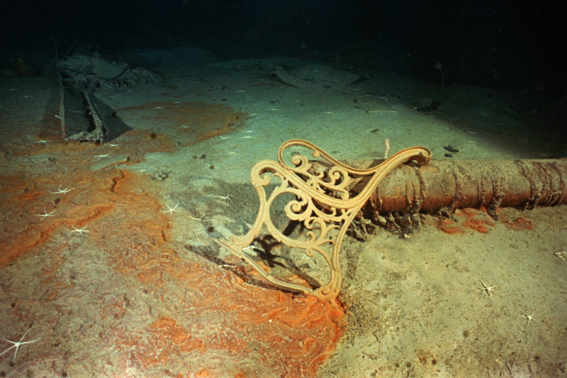 Voici à Quoi Ressemble Le Titanic Au Fond De L Océan