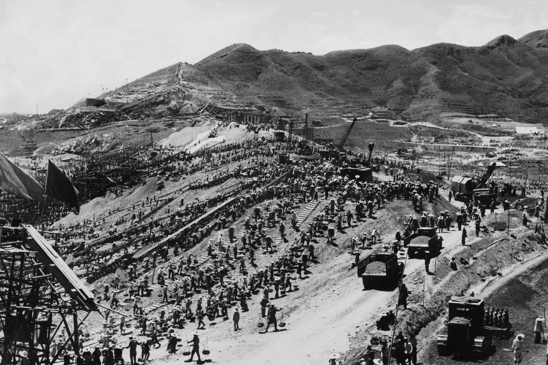 China decided to exterminate sparrows and millions of people died