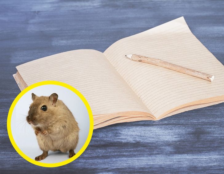 13 common products that weren't invented for what you think