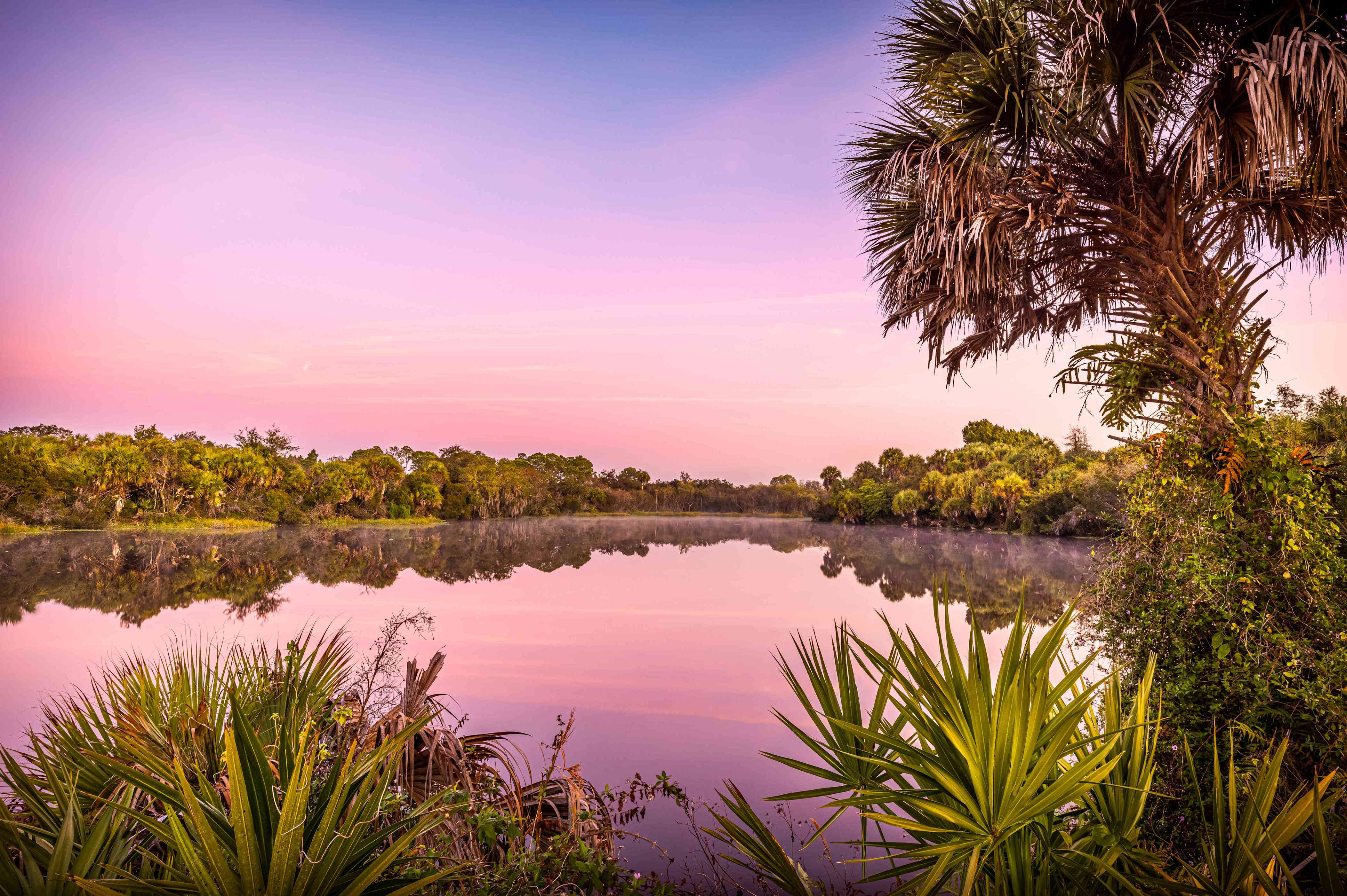 10 Best Things To Do In North Port, Florida