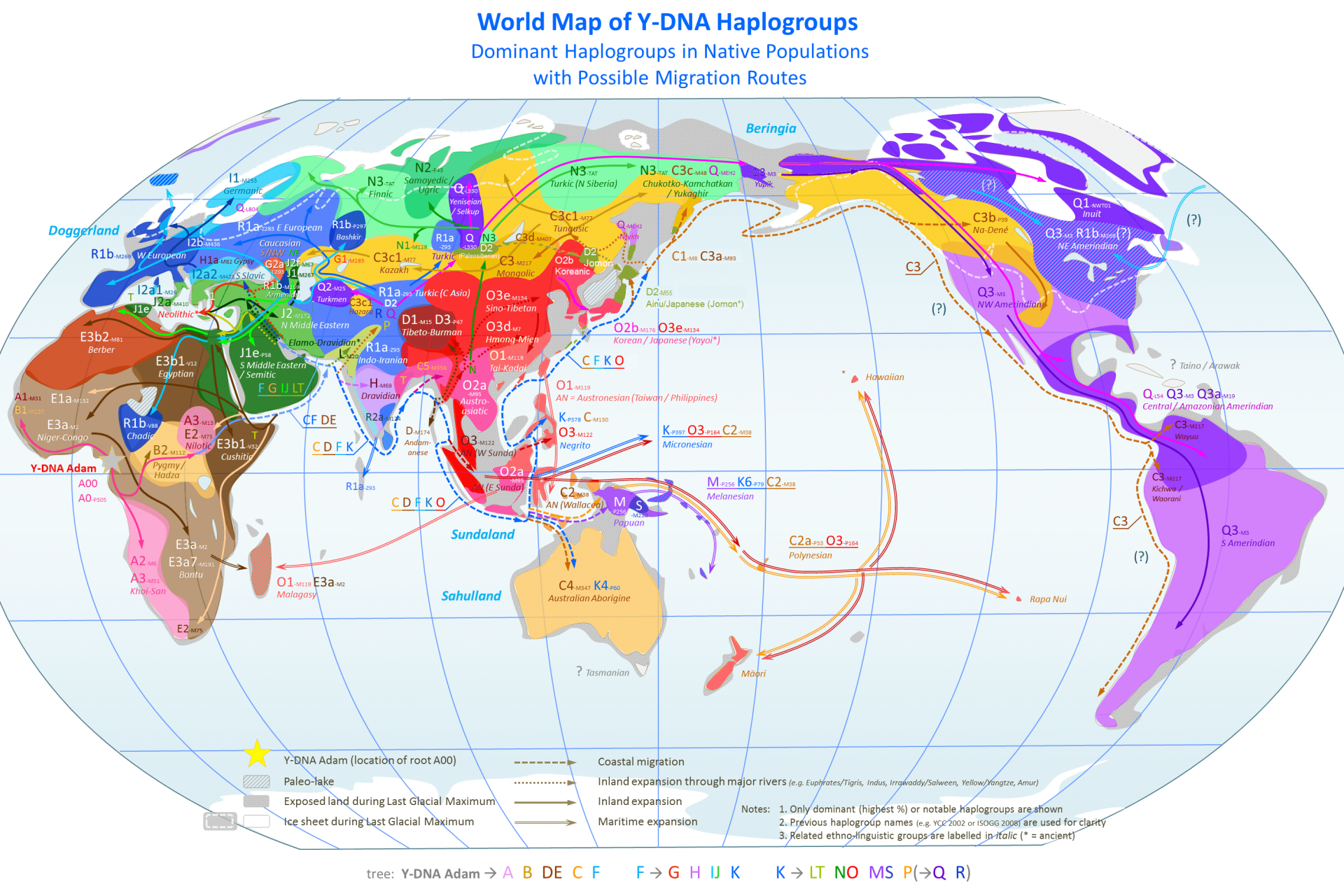 The discovery of a prehistoric human jaw bone could change human history