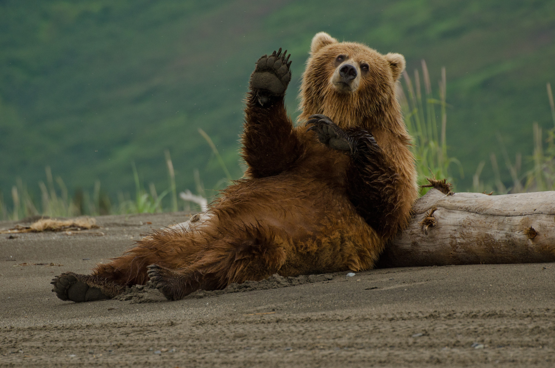 Check out these hilarious photos if you're having a bad day