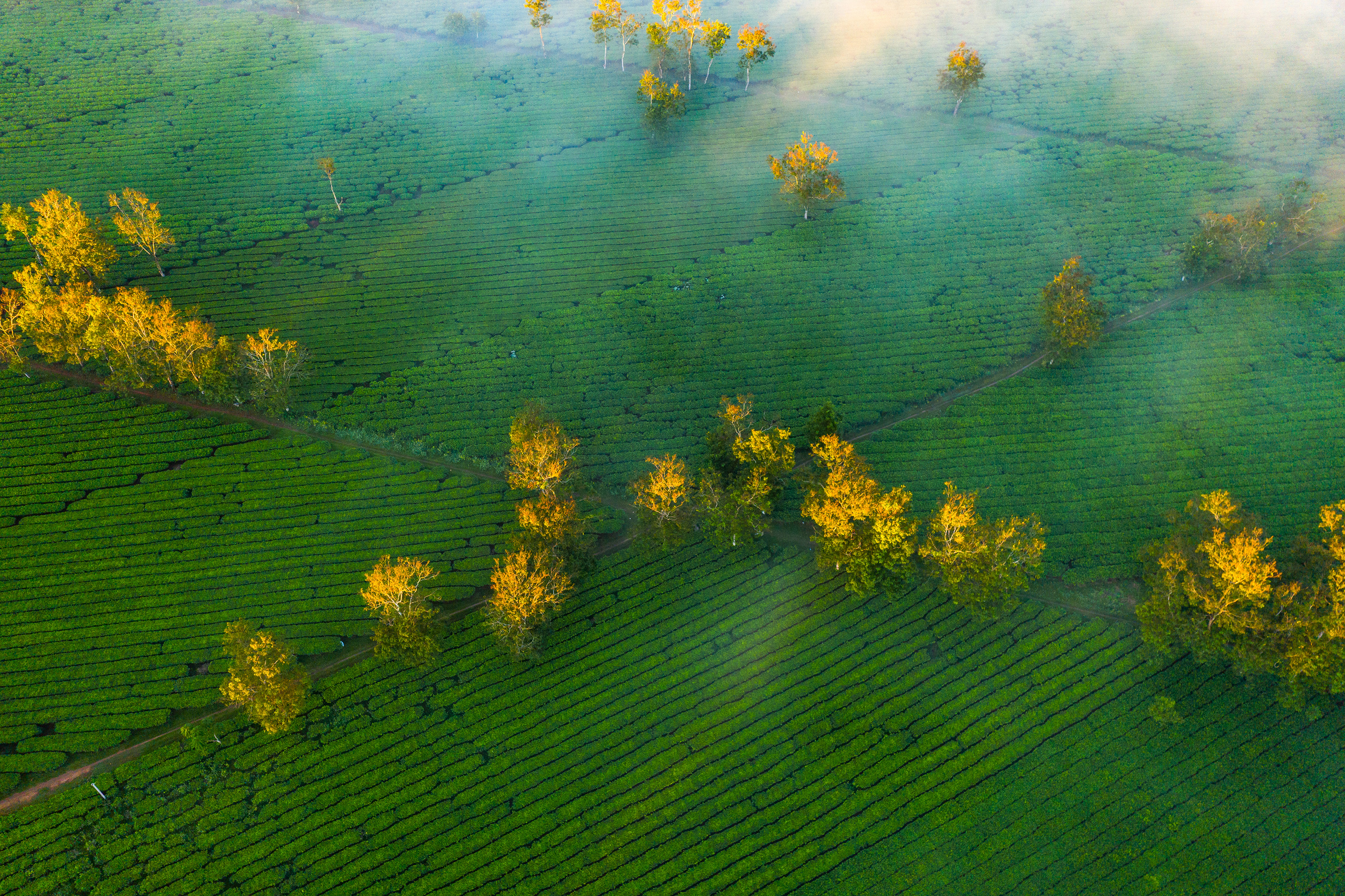 Beautiful landscapes