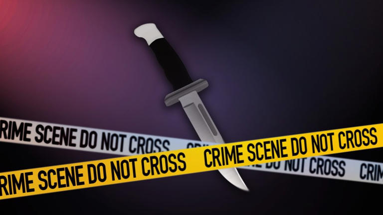 Woman sentenced for serious-injury assault in Sac County