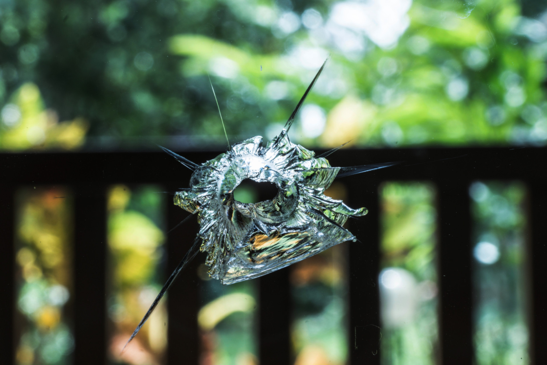 The heinous crimes committed by the Golden State Killer