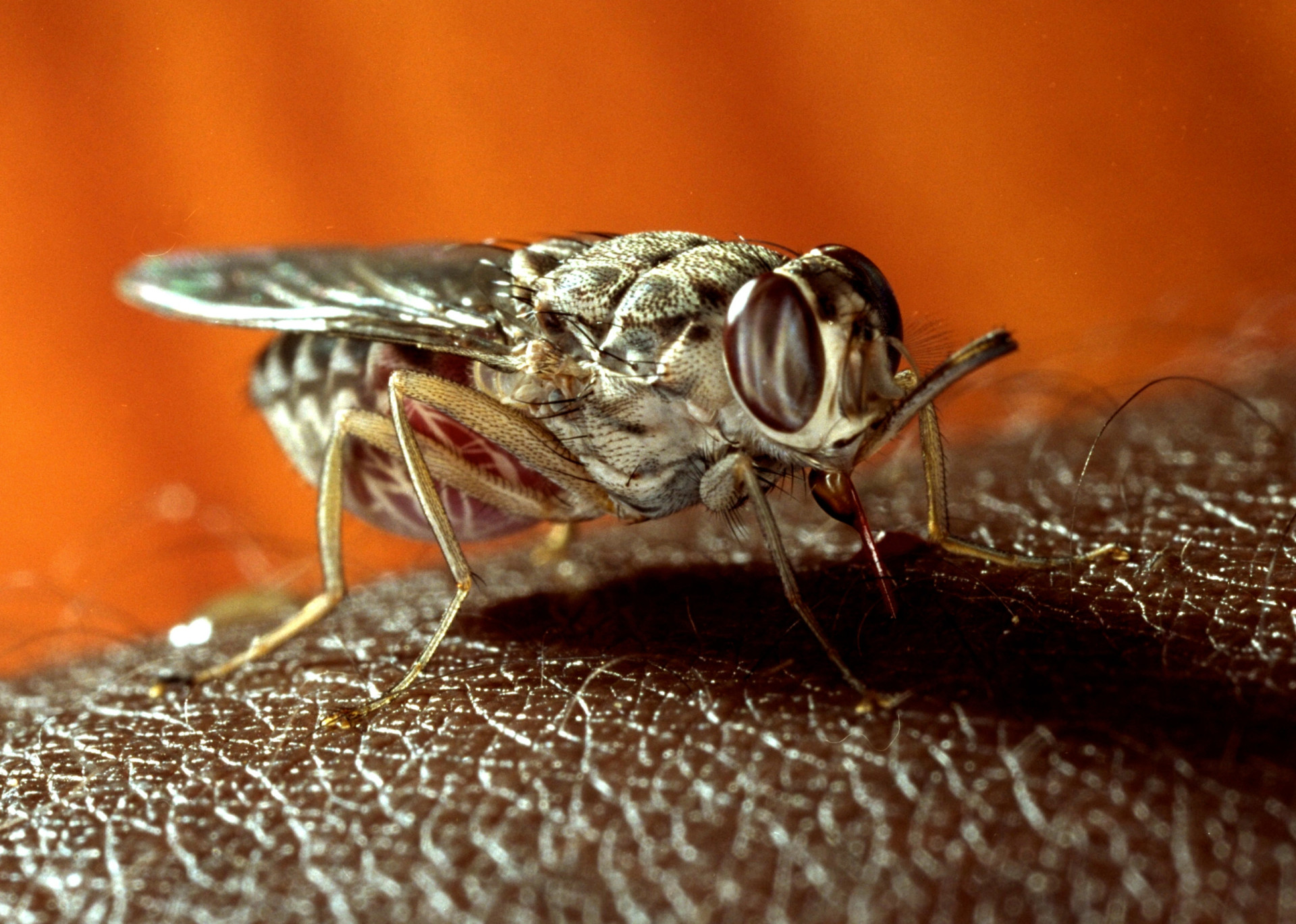 The dire consequences of climate change on everyday life