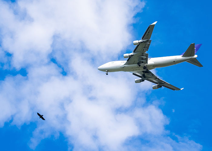 29 Things About Flying Everyone Should Know Before Traveling