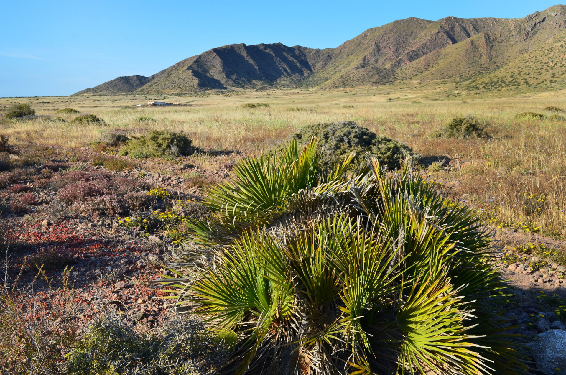 What do you know about Europe's only desert?