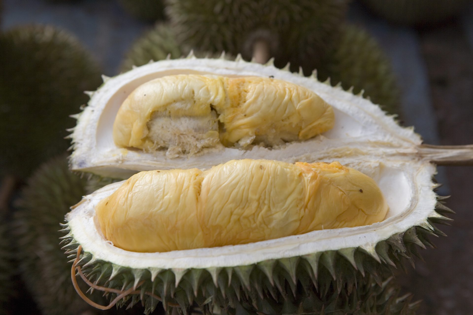 Durian : oseriez-vous goûter au fruit le plus puant du monde