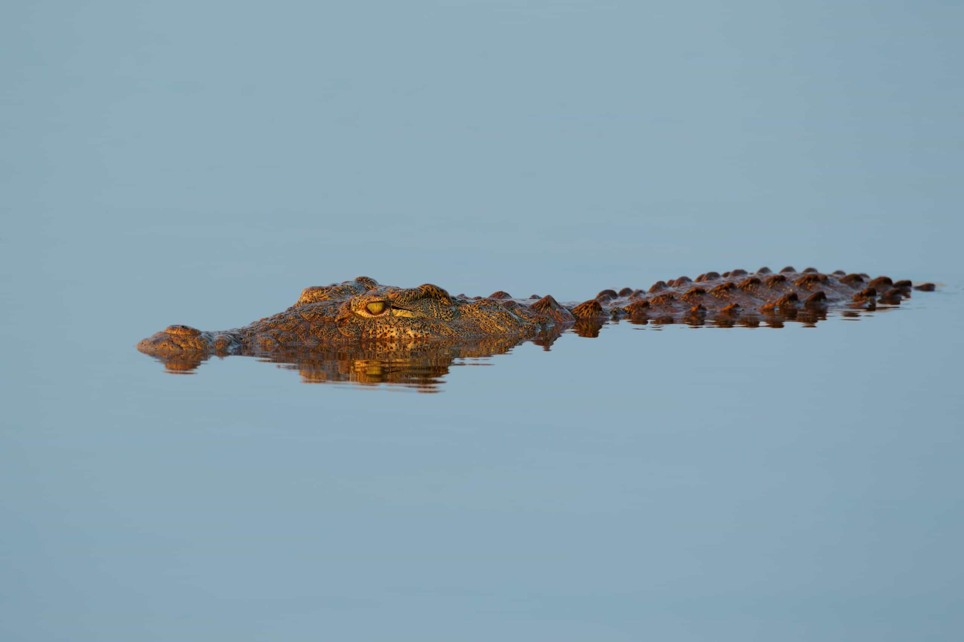 The most dangerous creatures beneath the waves