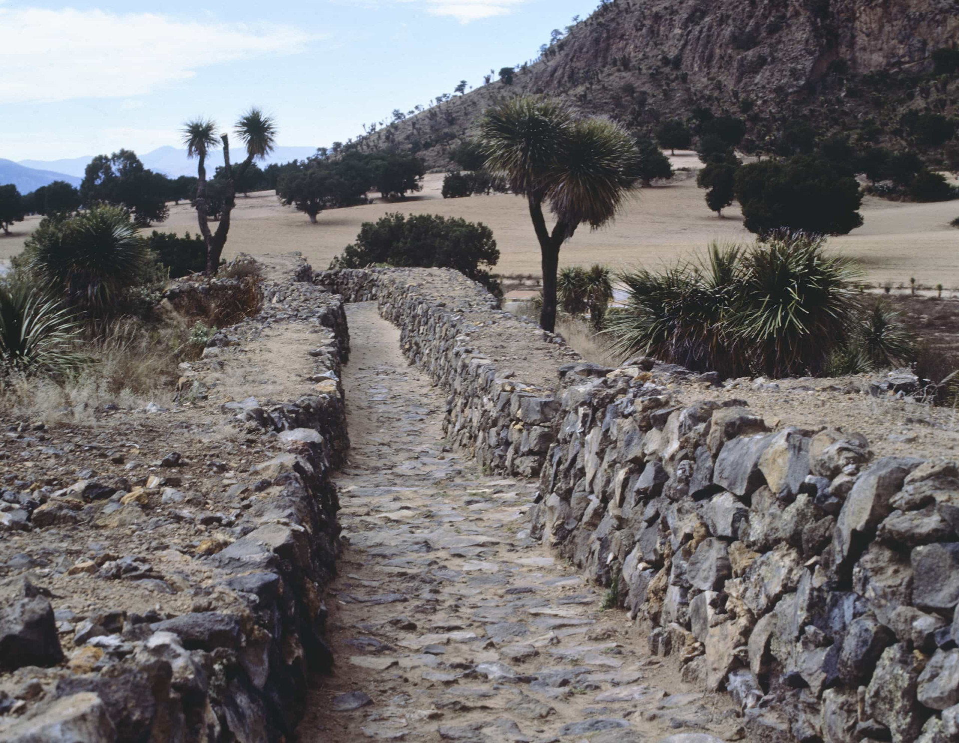 Who were the Incas?