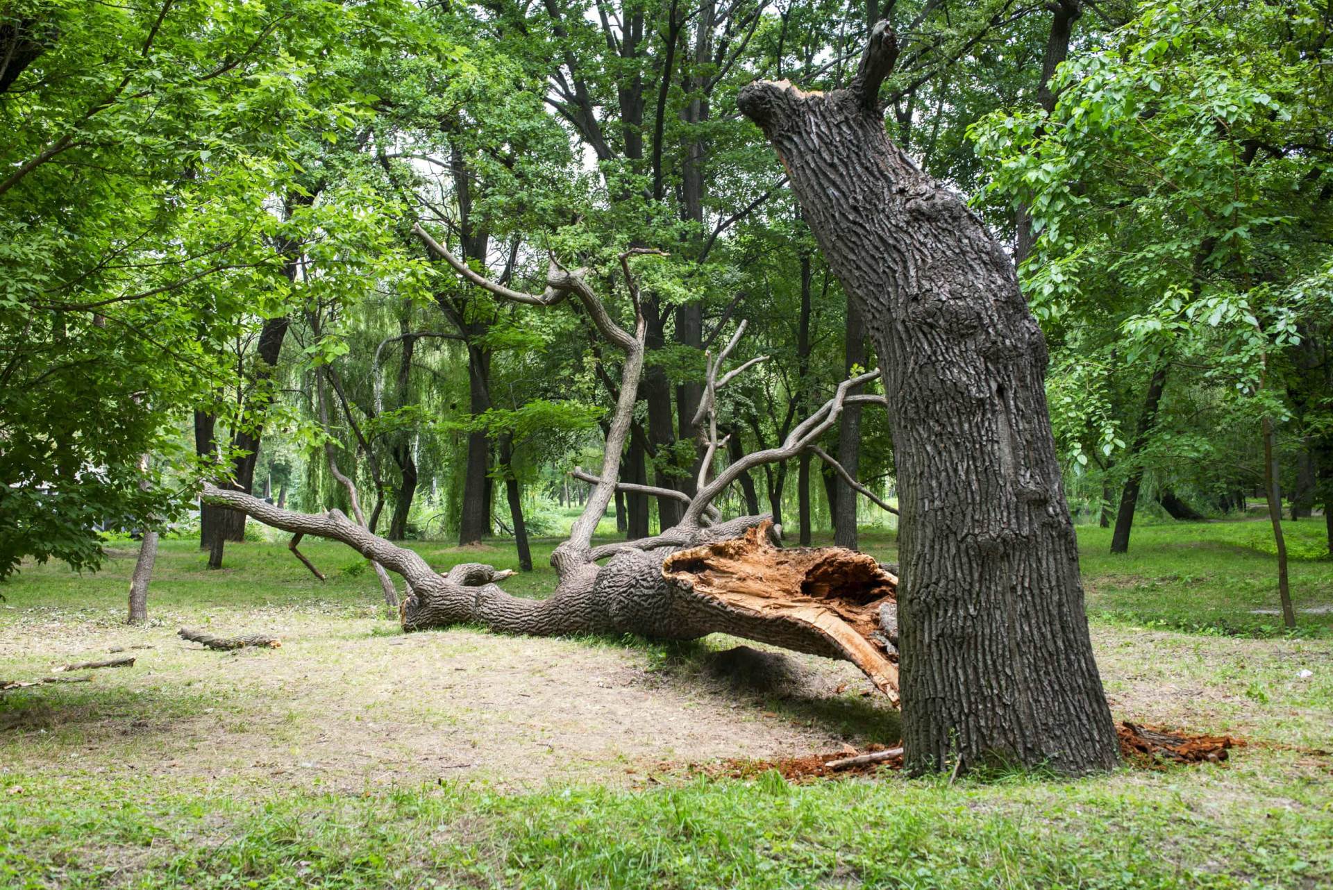 Stay safe: What not to do during a lightning storm